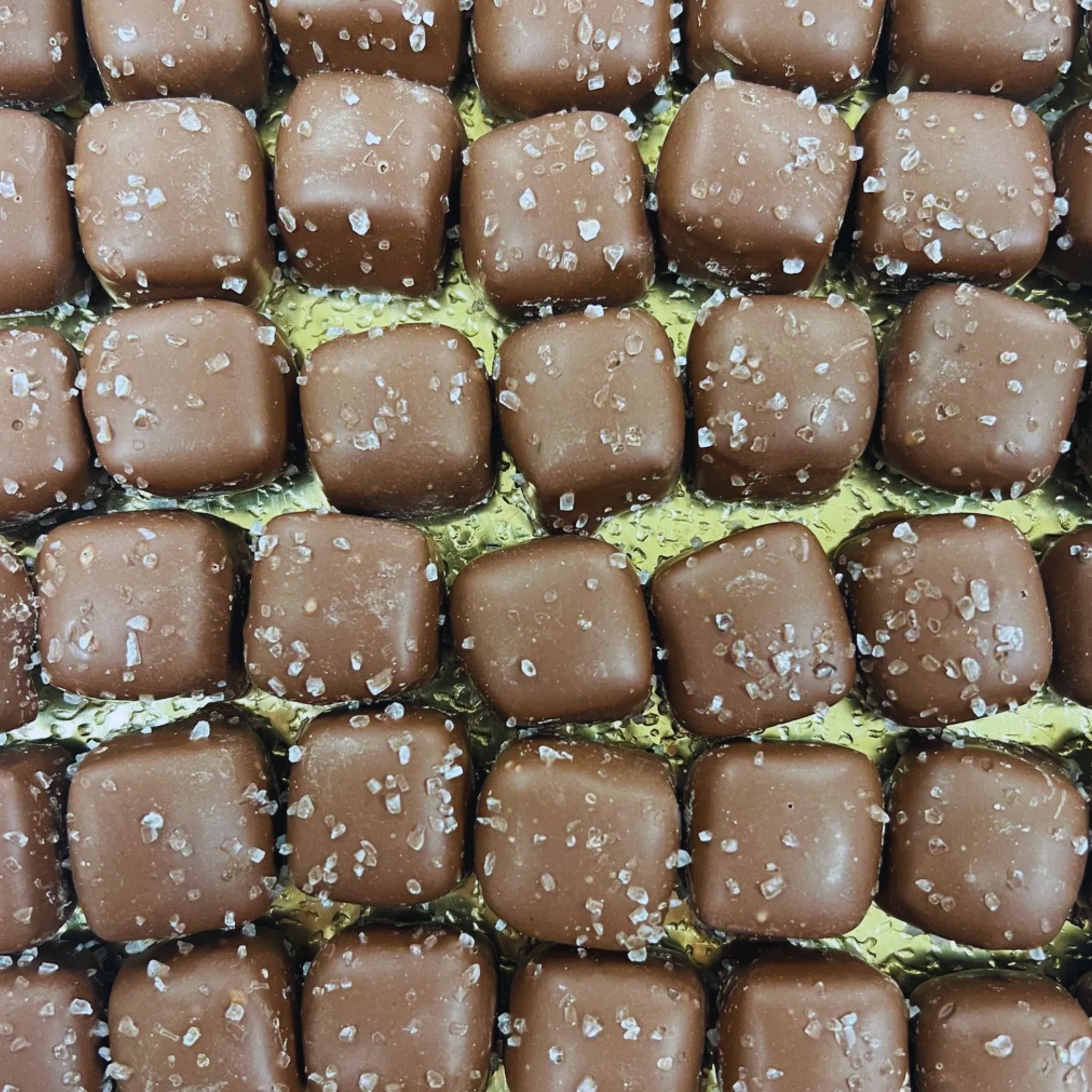 Sugar Free Milk Chocolate Sea Salt Caramels – Sally Lane's Candy Farm